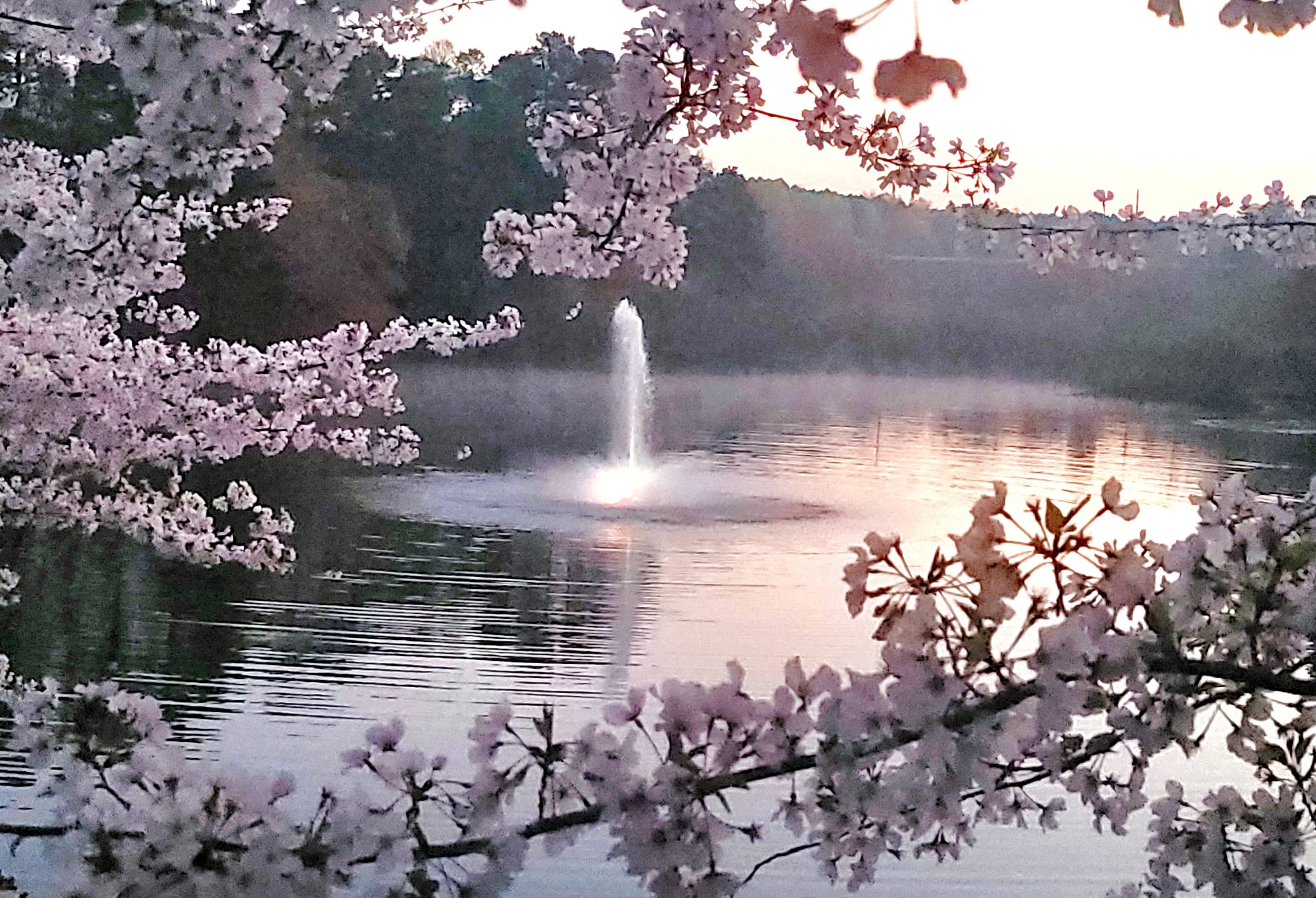 Home Newsletters Calendar Sports FAQ Residents Online Payments